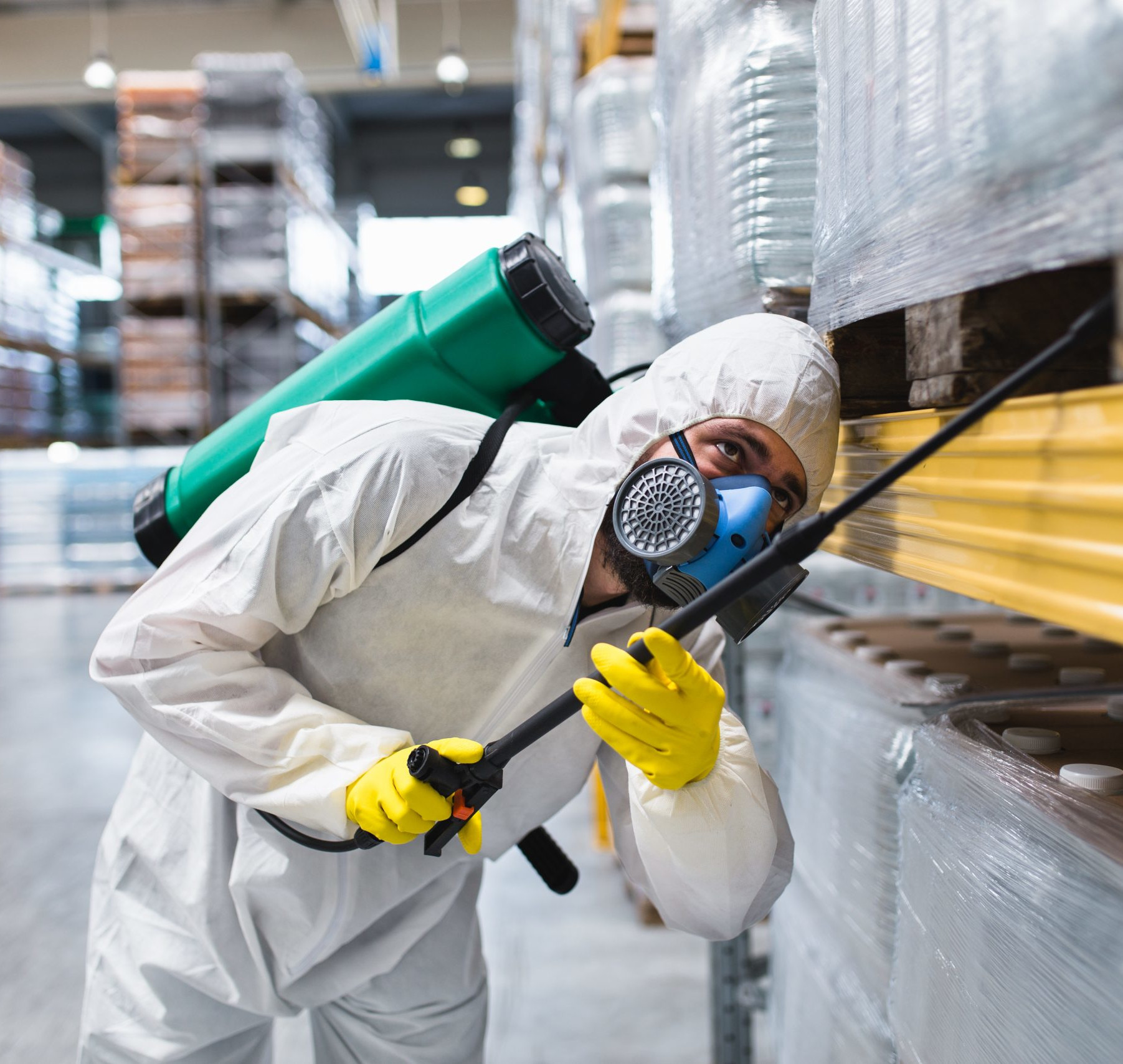 Just Bug'Em Off | Sydney to Newcastle Pest Control